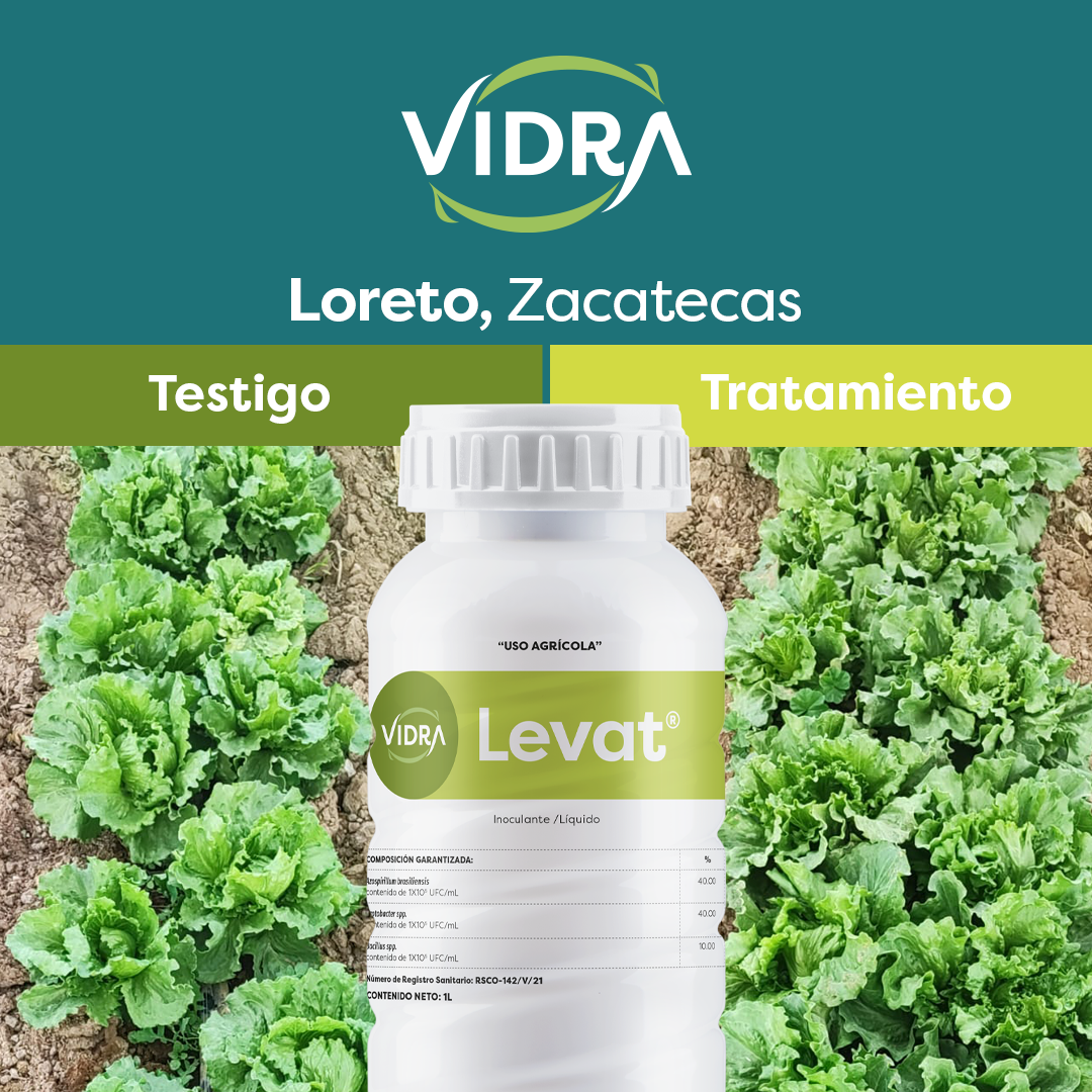 Levat®: Fijador biológico de nitrógeno, para tener unos cultivos más ...